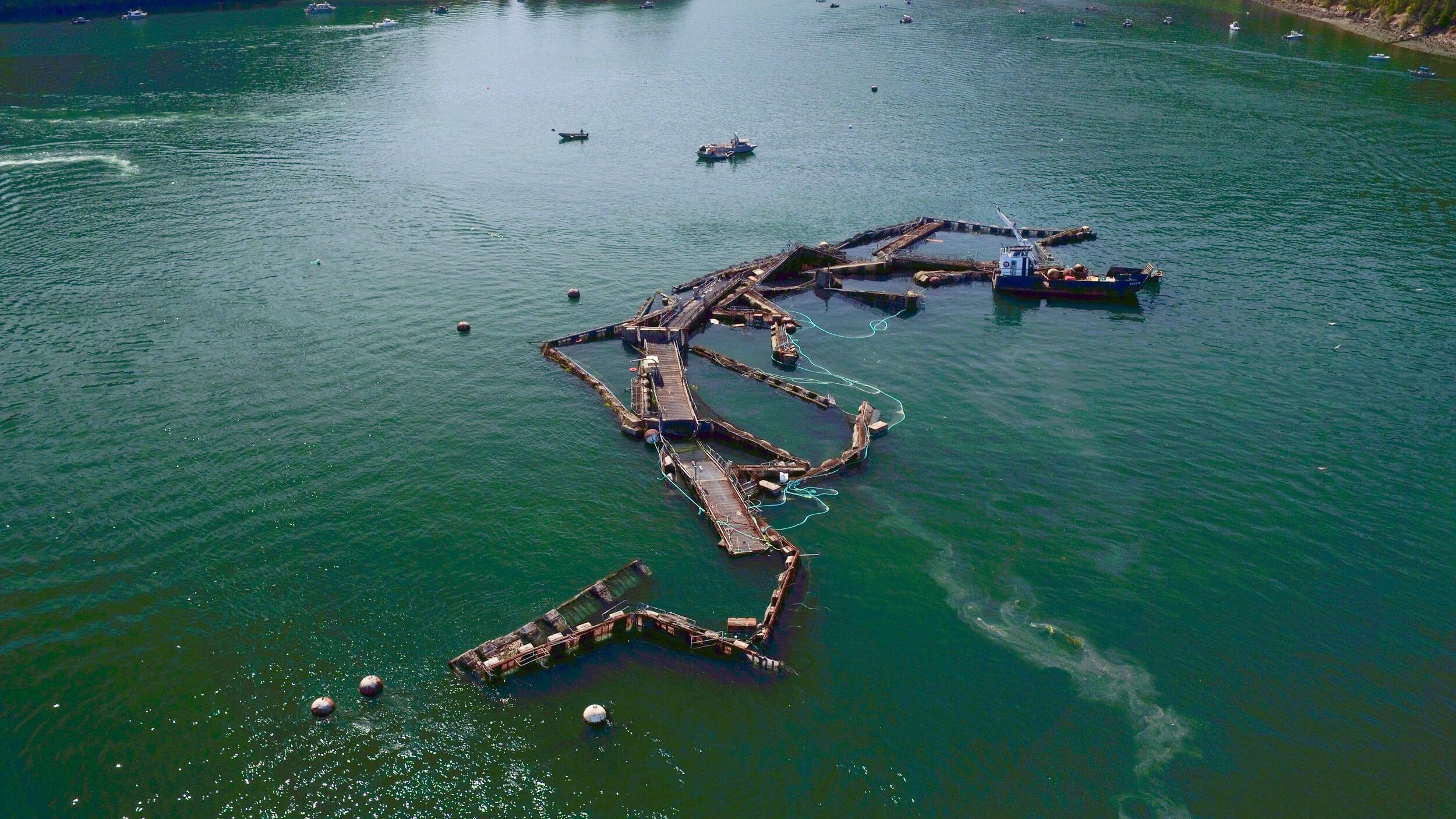 Thank You Lummi Nation | Lummi Indian Business Council – Soulcraft Allstars